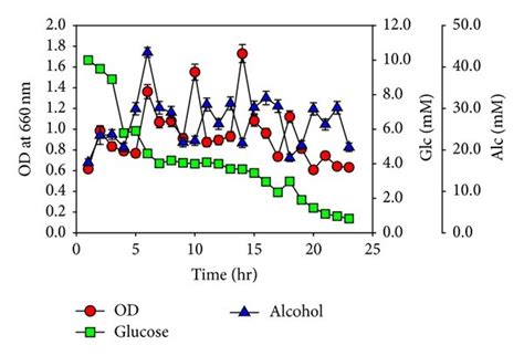 Fermentation Of Algae Juice To Bioethanol By Three Different