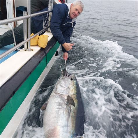 Great Final Tuna Week For Killybegs Fishing Trips Fishing In Ireland
