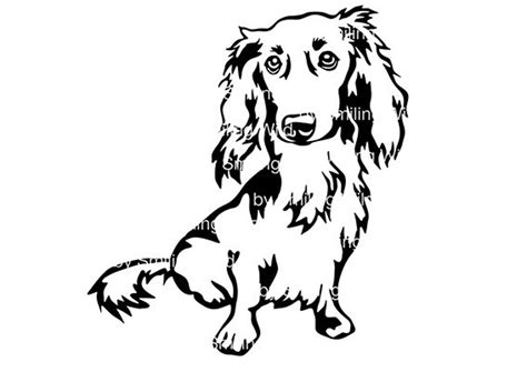 Long Haired Dachshund Clipart Svg Png Eps  Pdf Digital