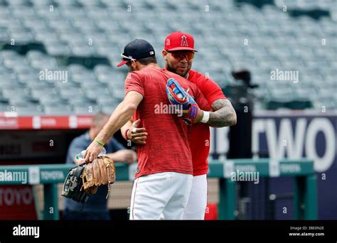 Los Angeles Angels Chris Taylor Left Is Greeted By Yoán Moncada