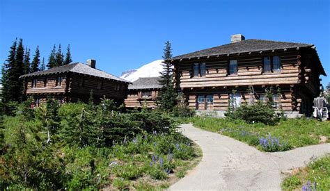 Mt Rainier Visitor Centers Visit Rainier