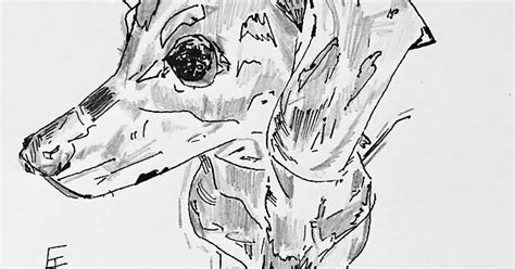 Troublemaker Album On Imgur