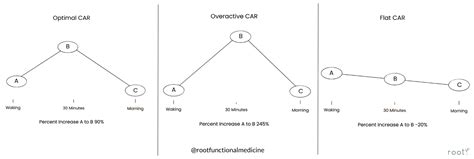 At Home Cortisol Test Root Functional Medicine