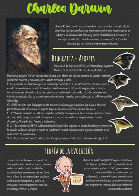 Free Charles Darwin Poster Artofit