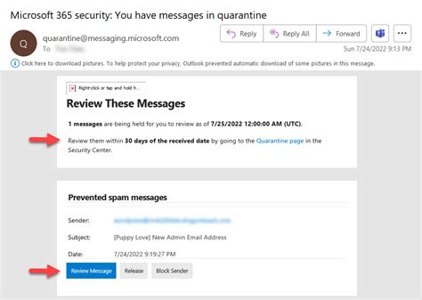 Email Security Microsoft Defender It Services Seneca Students
