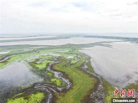 航拍江西鄱阳湖南矶湿地国家级自然保护区 水草丰茂风光秀美（图）凤凰网江西 凤凰网