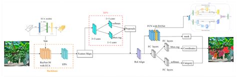 Detection and Instance Segmentation of Grape Clusters in Orchard Environments Using an Improved ...