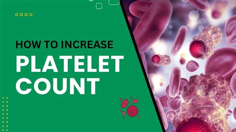 How To Increase Platelet Count Ways To Increase Platelet Count