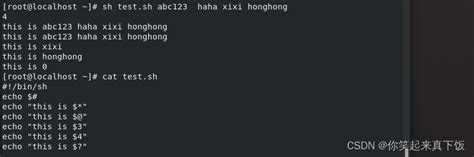 Shell常用命令的使用演示shell基本命令的使用 Csdn博客 Shell常用命令的使用演示shell基本命令的使用 Csdn博客