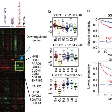 Eleveated Ctbp Protein In Patient Breast Cancers Predicts Lower Median