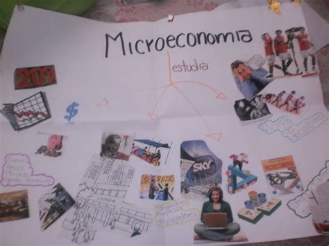 P8210007 1 Microeco Flickr