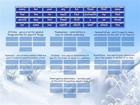 Types Of Determiners Group Sort
