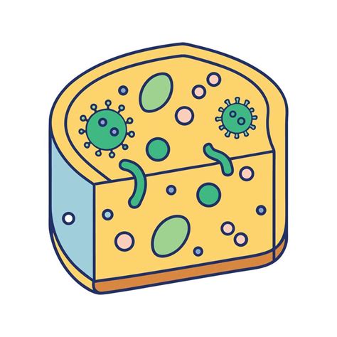 Understanding Microbial Fermentation In Cheese 59094284 Vector Art At Vecteezy