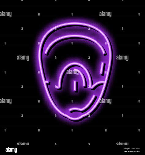 Beautiful Fresh Sweet Corn Stock Vector Images Alamy