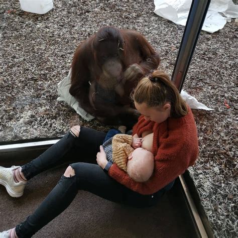 Woman Breastfeeding Animal