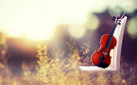 为你读诗——青春（席慕容）youth