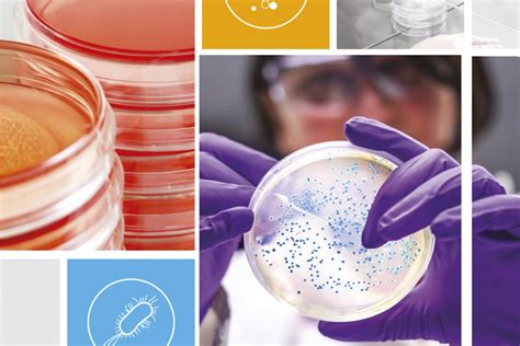 Food Testing Solutions — Bio Rad