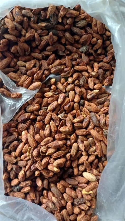 A Grade Organic Neem Seed Kernel At Rs 150 Kg In Solapur Id 14183392948