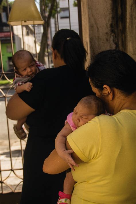 Microcefalia E Quando A Onda Chegar Em São Paulo