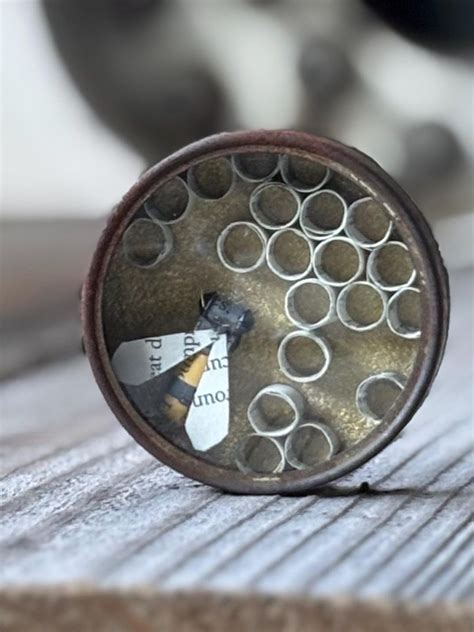 Handmade Bee Assemblage Collage Diorama Shadowbox Art Etsy