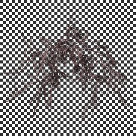 Red Maple Leaf Decal A23d