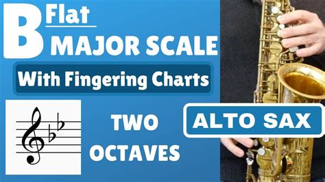 Alto Sax B Flat Notes At Randall Starkes Blog