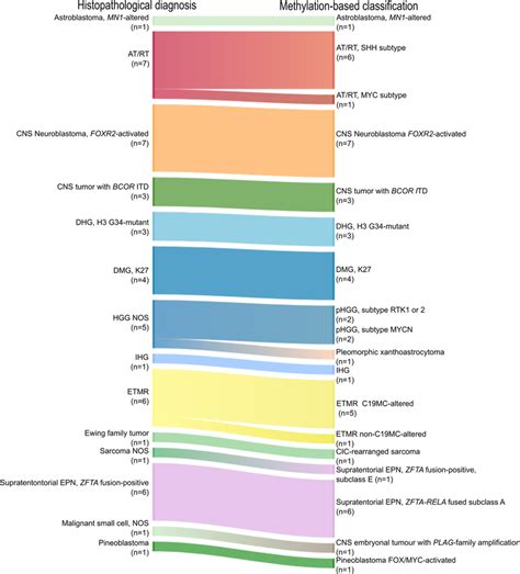Dna Methylation Based Classification Of 47 Cns Pnets Sankey Plot Of Download Scientific