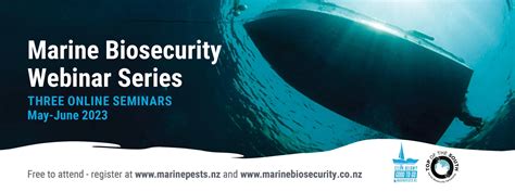 Filling Gaps In Our Clean Hull Framework — Clean Below Good To Go