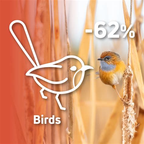 Biodiversity Australias Environment Report