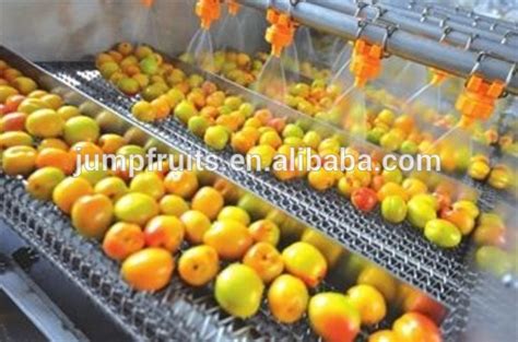 China Dried Fruit Processing Line Dried Apricot Making Machine Factory And Manufacturers Jump