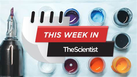 Fda Found Bacteria In Sealed Tattoo Inks And More