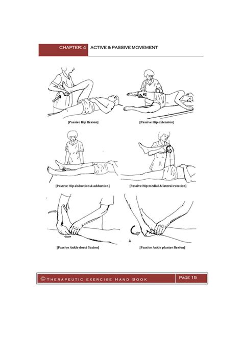 Active And Passive Movement Pdf Physical Therapy Wellness