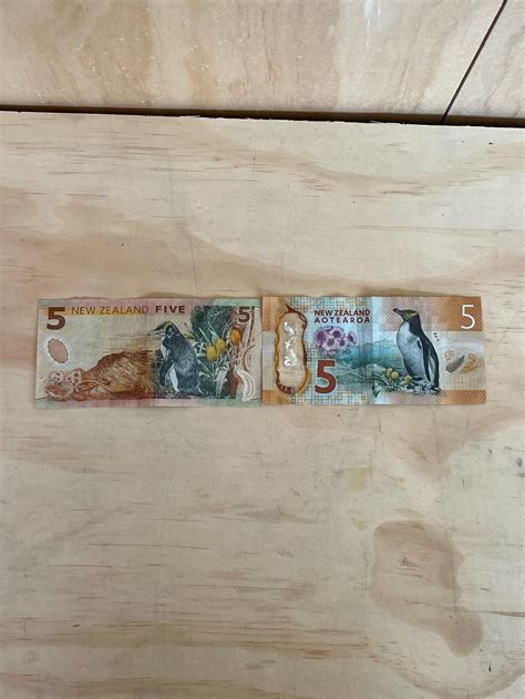 The Old 5 Note Next To The New One If You Forgot What It Looked Like