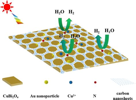 Ncu Codoped Carbon Nanosheetaucubi2o4 Photocathodes For Efficient Photoelectrochemical Water