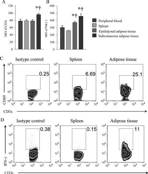 Flow Cytometric Analysis Of Cell Surface Markers And Intracellular