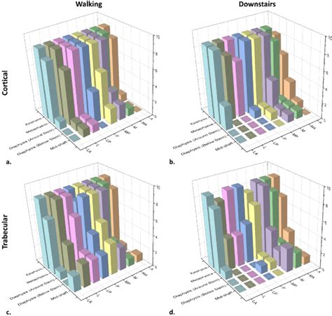 The Number Of Patients Experienced Bone Cortical And Trabecular Download Scientific Diagram