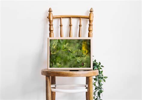 Flower Buds Physical Print With Mat Travel Photography Home Decor Wall Art Color Photography