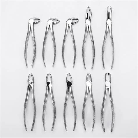 Dental Extraction Pliers Set 10 Piece Tooth Extraction Tools For