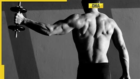 Beginner Sarm Cycle Guide Best Sarms Stack For Beginners Bulking Cutting Strength