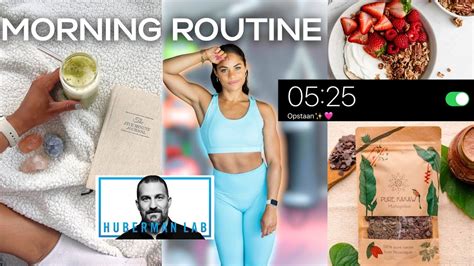 Morning Routine Andrew Huberman Geïnspireerd Denise Anna Youtube
