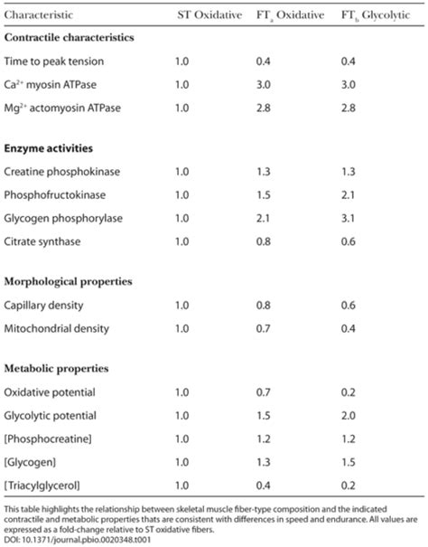 Neeld Muscle Fiber Continuum Theory Kevin Neeld