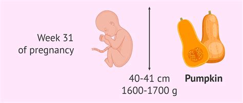 Invitra Medical Magazine Specialized In Ivf And Pregnancy
