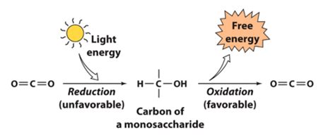 Chem 4440 Midterm 1 Flashcards Quizlet