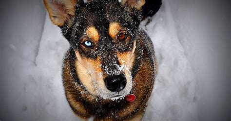 Finding Nemo Now Starring Kasha Imgur