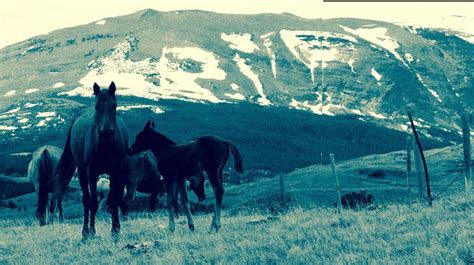 Les «paysages De François De Brigode Soirmag