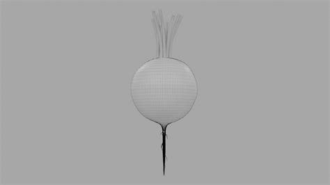 3d Beetroot And Beetroot Slice Turbosquid 2011238