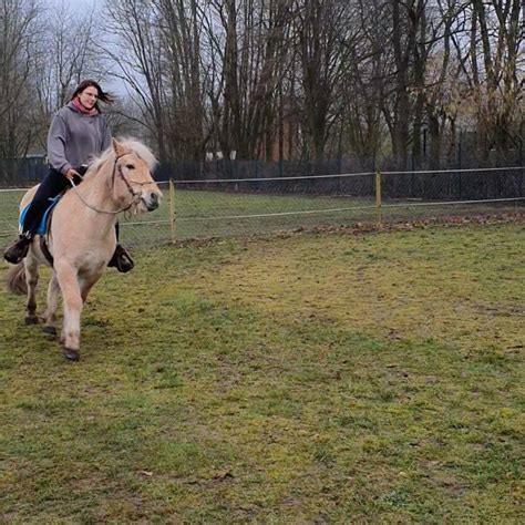 Daniel Remmers Personal Training Home