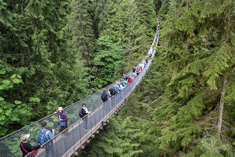Bcs Top Destination Attraction Capilano Suspension Bridge Park