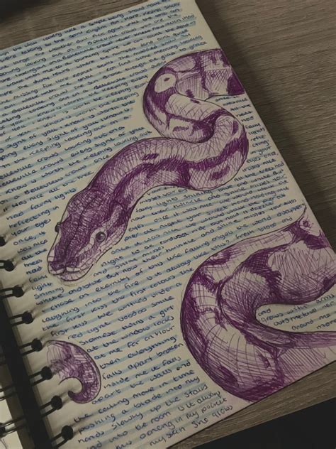Notebook Drawings