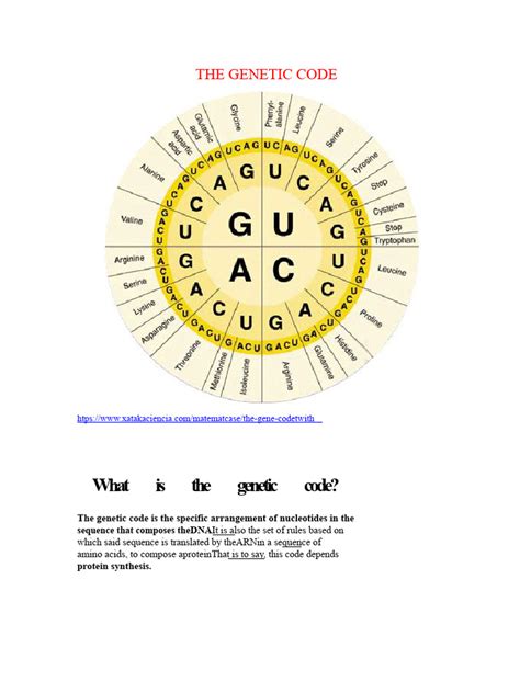 The Genetic Code Pdf Genetic Code Nucleic Acid Sequence